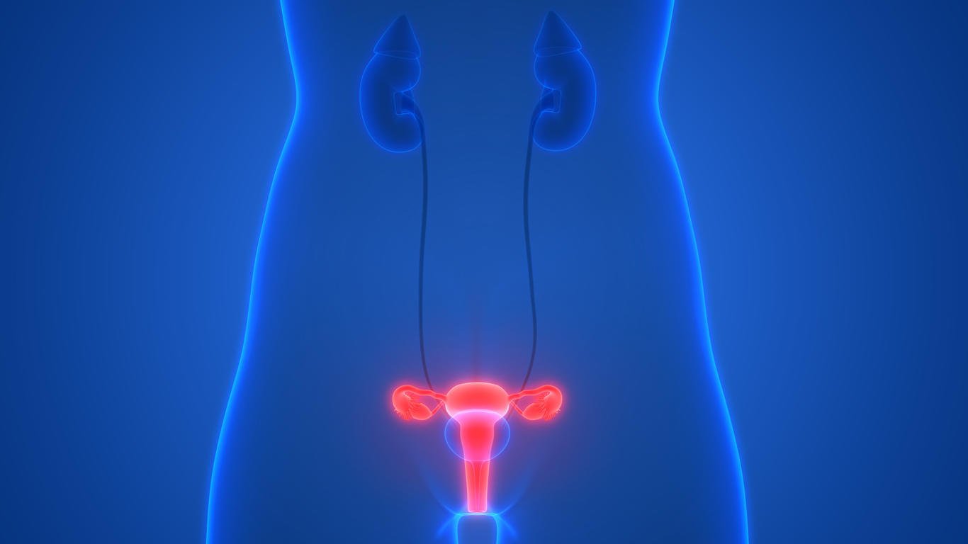 Utérus rétroversé : la définition | Medisite.fr