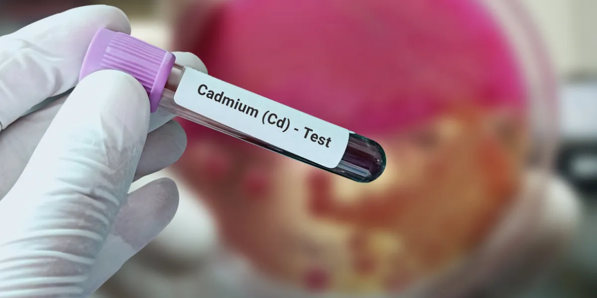 Cadmium : "J'ai perdu ma mère en décembre dernier d’un cancer du ...